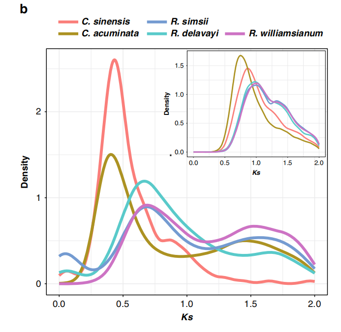 Strange Ks distribution analysis results · Issue #36 · SunPengChuan/wgdi · GitHub
