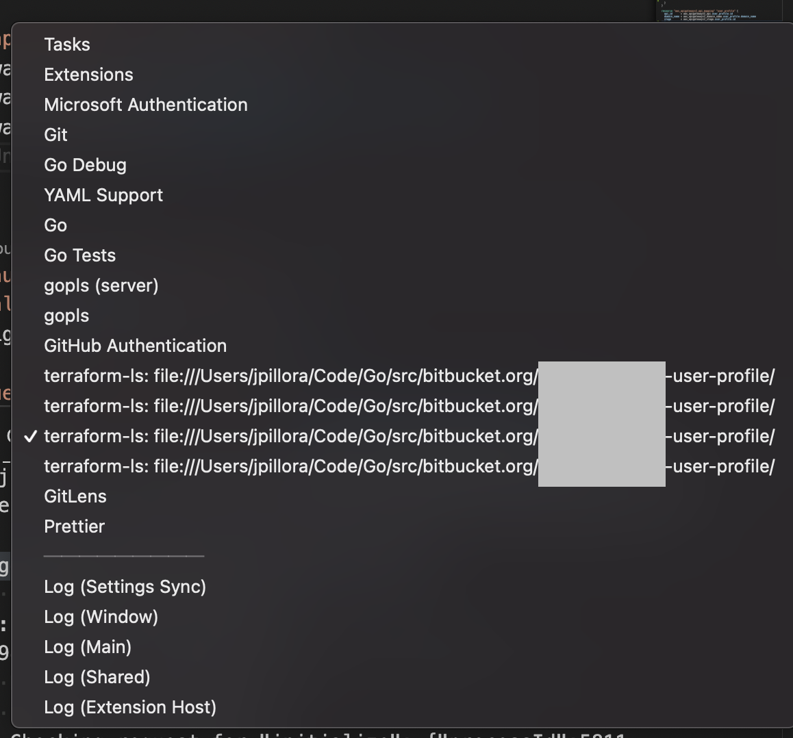Duplicate results for the same document · Issue #662 · hashicorp/vscode-terraform · GitHub