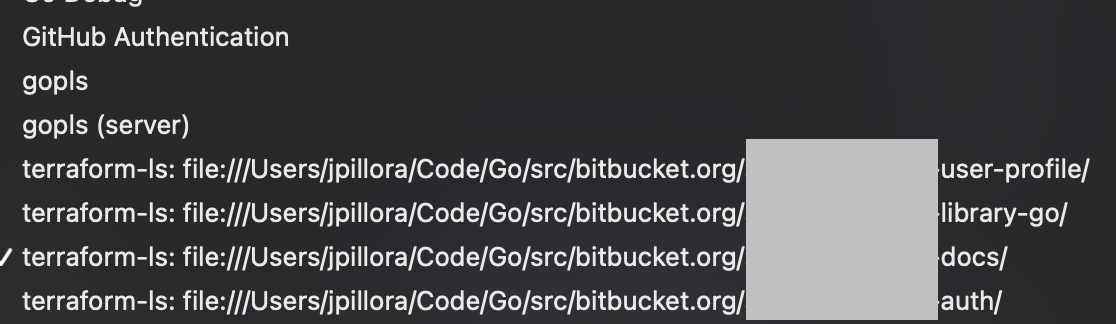Duplicate results for the same document · Issue #662 · hashicorp/vscode-terraform · GitHub