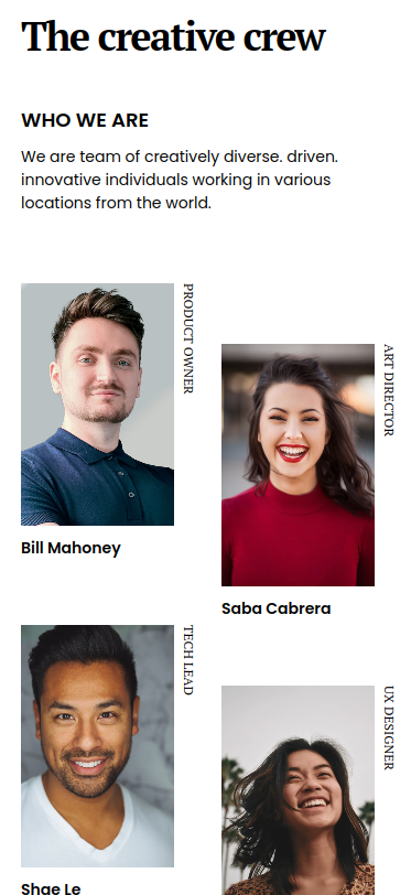 GitHub - Takerumi/my-team-page