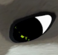 Outline Lighting issue in a few worlds · Issue #3 · MochiesCode/Mochies-Unity-Shaders · GitHub