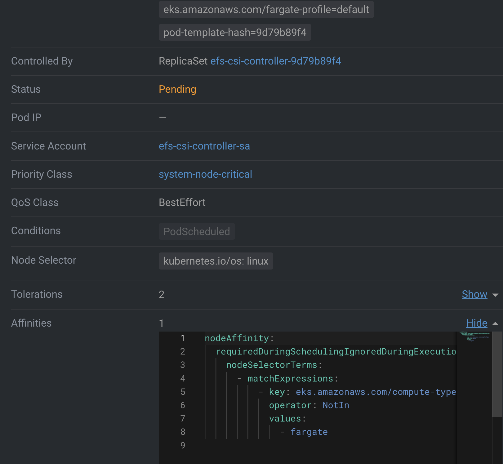Efs Csi Driver Is Not Being Deployed On Ec2 Node But On Fargate Profile · Issue 1068