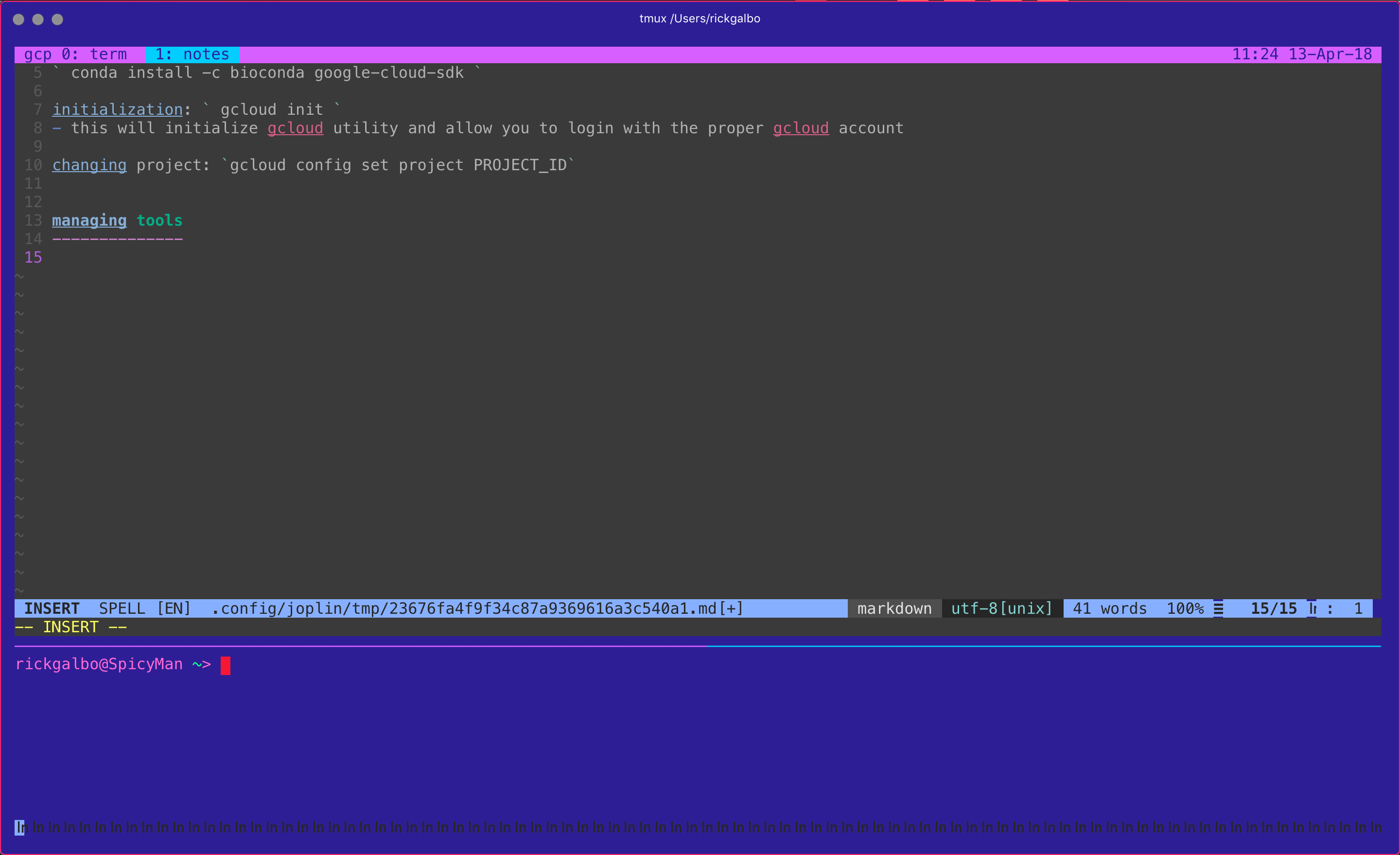 Invasive "ln" character in (neo)vim when using WSL/Hyper · Issue #1886 · vercel/hyper · GitHub