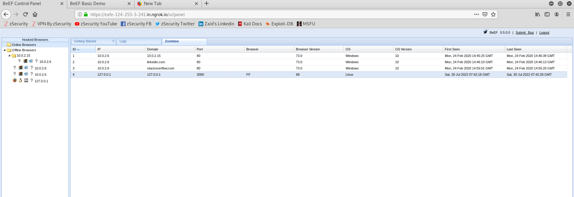 Beef panel is not showing Online browsers but that particular hooked ...