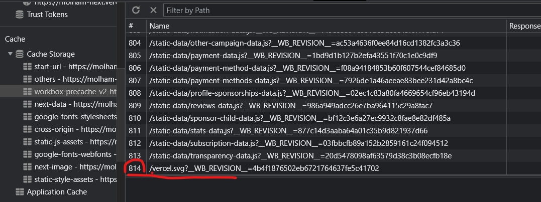service worker takes so long to activate pwa · Issue #287 · shadowwalker/next-pwa · GitHub