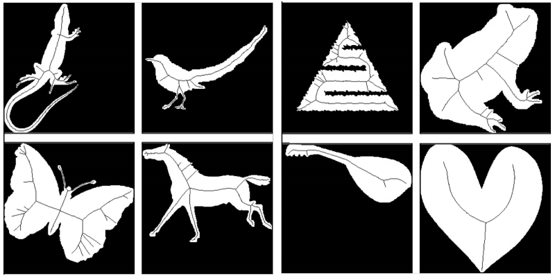 GitHub - willsaak/skeleton-extraction: Skeleton (medial axis ...