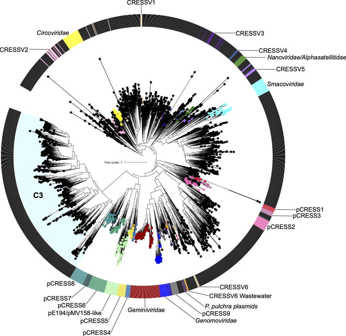 GitHub - SAmicrobiomes/ssDNA
