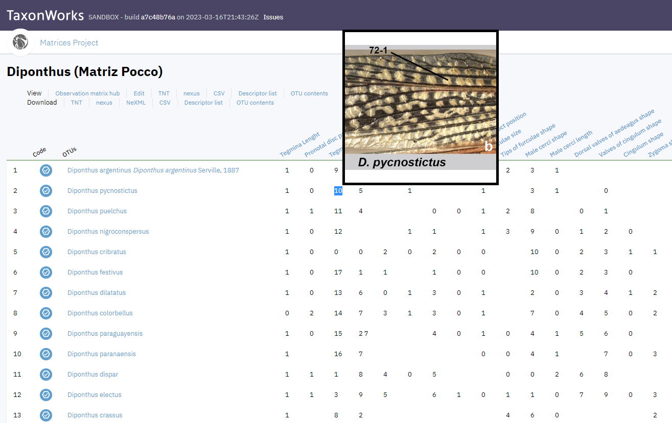 Depictions of Character states in the matrix view · Issue #3351 ...