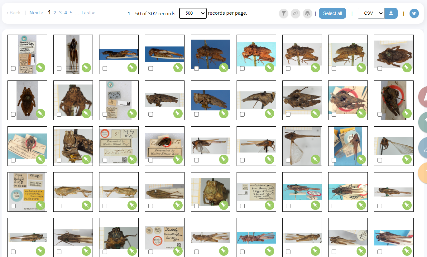 [Bug]: Filter Image TASK: The selection of records per page is not working in this task · Issue ...