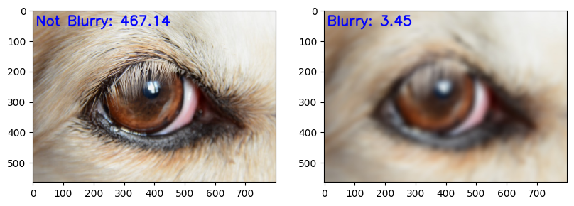 GitHub - kang9366/PetKeeper-DL: 서울과학기술대학교 컴퓨터공학과 캡스톤 디자인 프로젝트