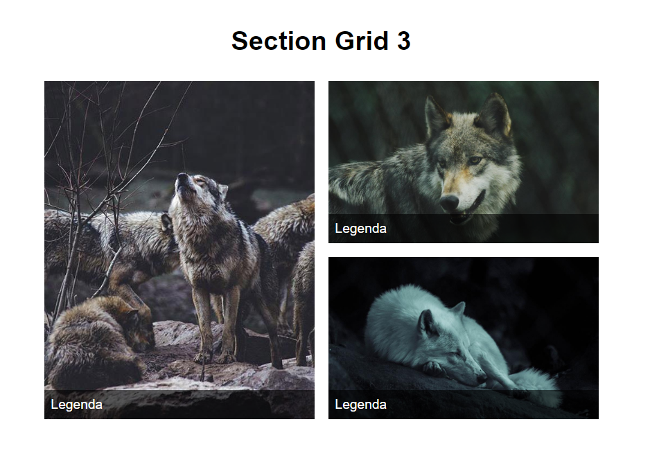 Github Rednandtemplate Html Css Flexbox Grid Template Para Websites Responsivos Que Usem Css 