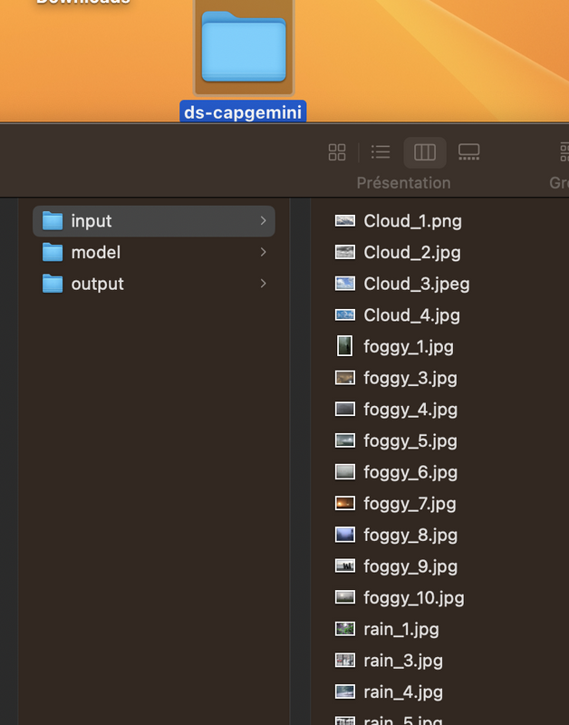 GitHub - AR942/DS_Project_Capgemini