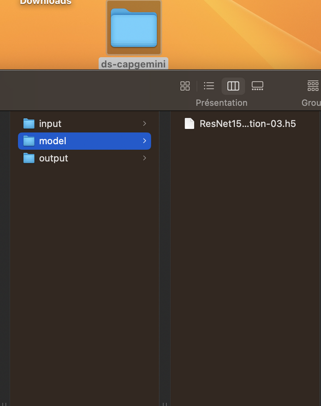 GitHub - AR942/DS_Project_Capgemini