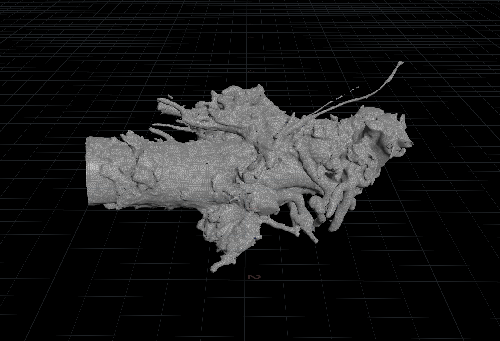 GitHub - lostbra/Path_Deform