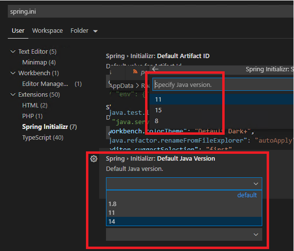 Java Version Is Inconsistent Between User Settings And Command Palette 4879