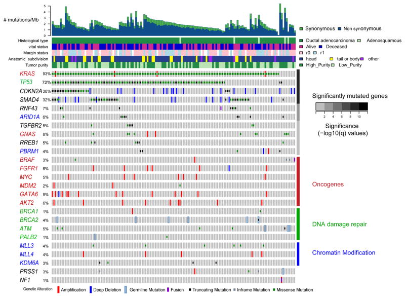 add multiple types of mutations · Issue #520 · PoisonAlien/maftools · GitHub