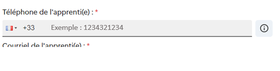 Ajout texte placeholder téléphone · Issue #428 · mission-apprentissage/cerfa · GitHub