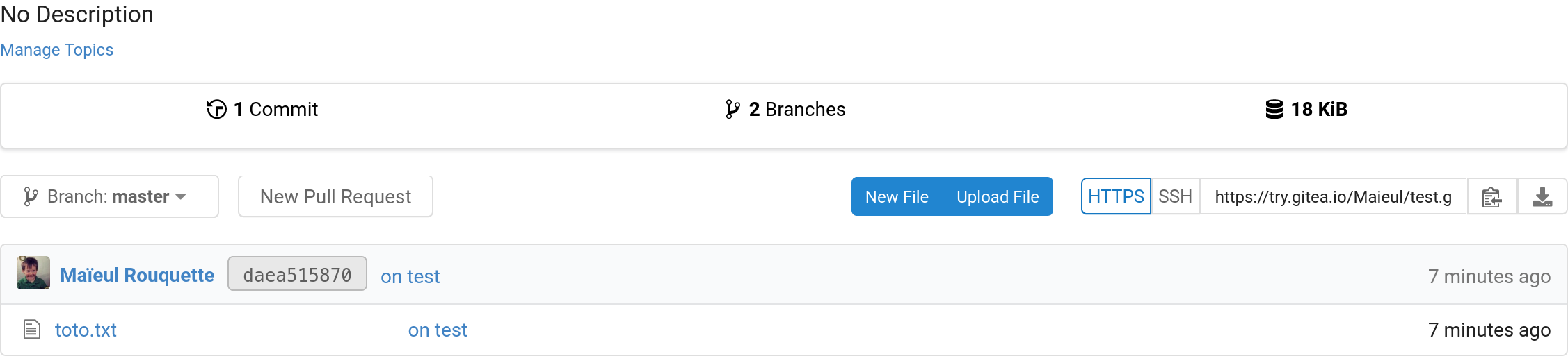 Full Name In Issue Pr Pages · Issue 11079 · Go Gitea Gitea · Github