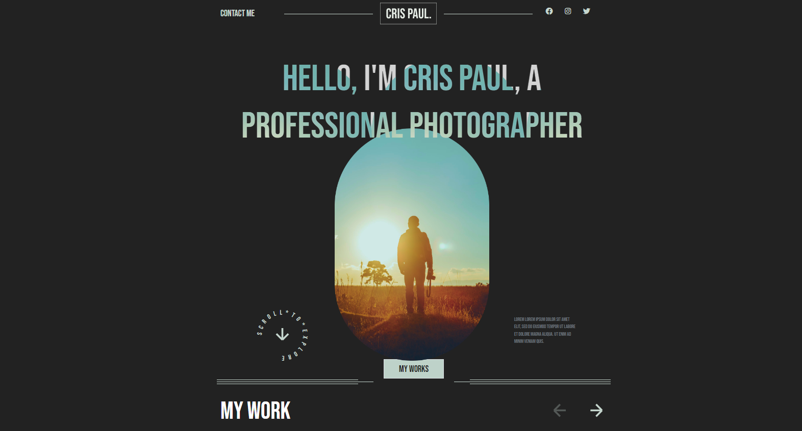 GitHub - p-stn/Portfolio-Website-Examples: Portfolio Website Examples (project 8)