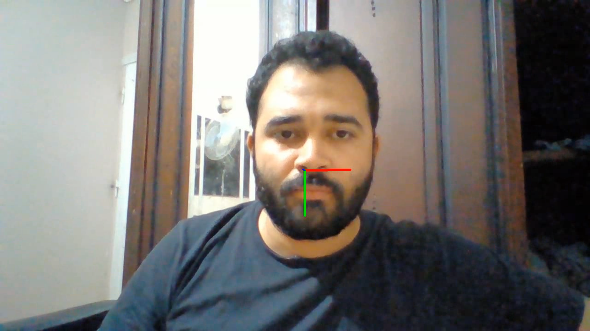 GitHub - osamashaaban/Head-Pose-Estimation-