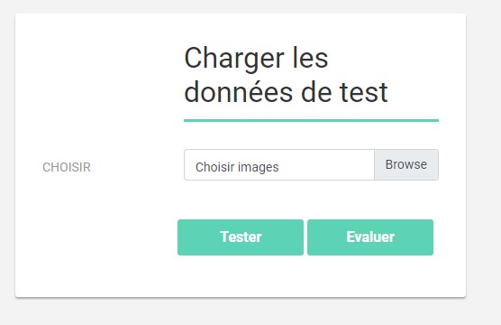 GitHub - jouhaina-nasri/Breast-Cancer-Detection: Breast Cancer Detection and Classification ...