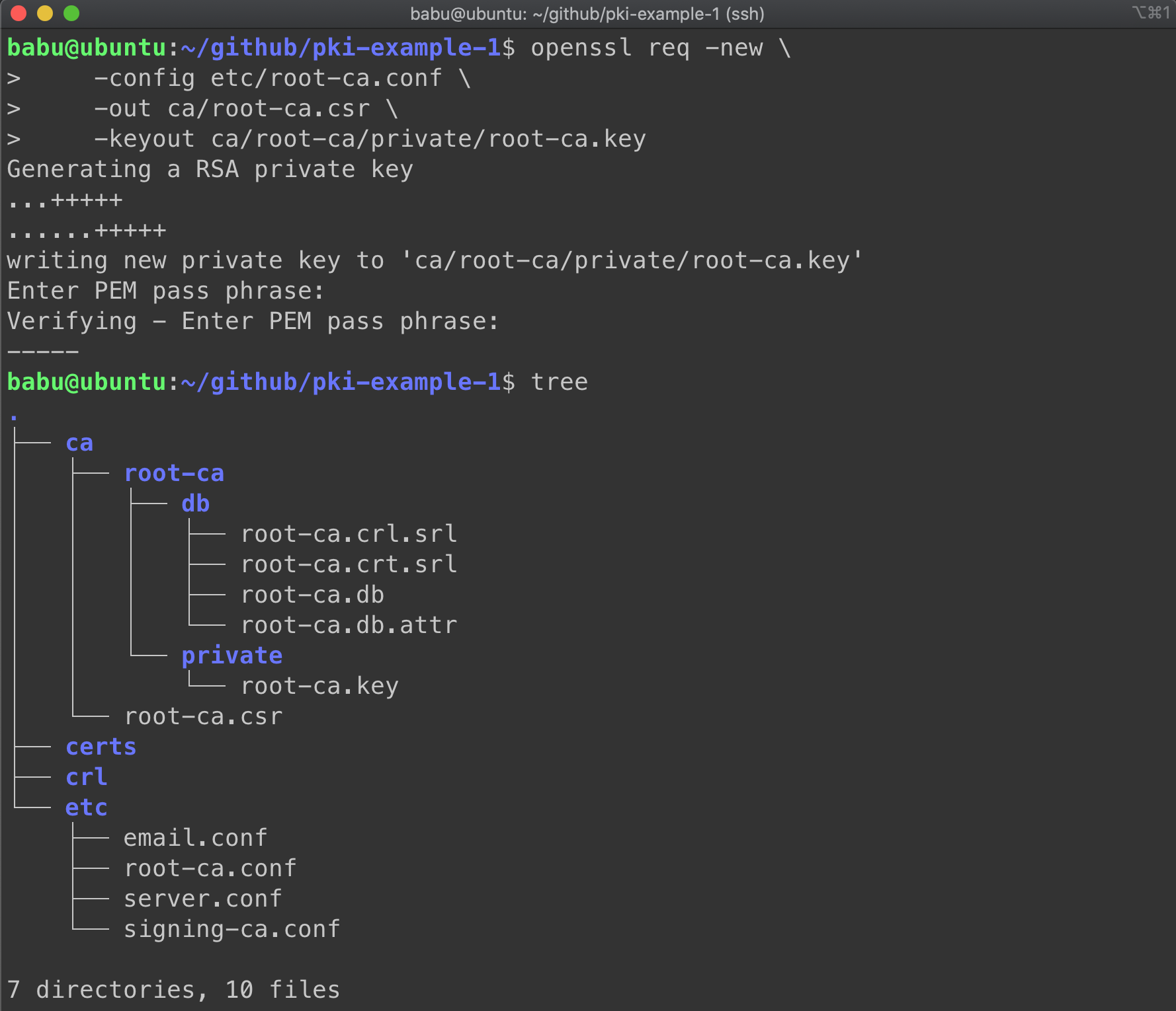 GitHub - sjsu-cmpe272/simple-pki: A simple PKI infrastructure