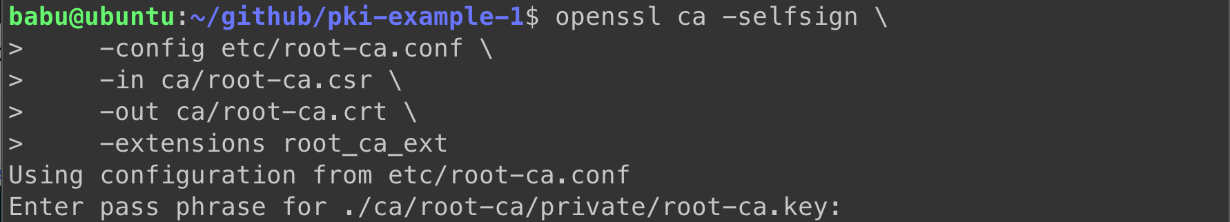 GitHub - sjsu-cmpe272/simple-pki: A simple PKI infrastructure