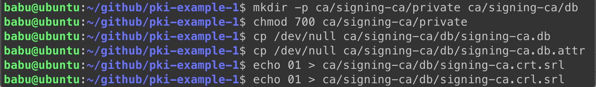 GitHub - sjsu-cmpe272/simple-pki: A simple PKI infrastructure