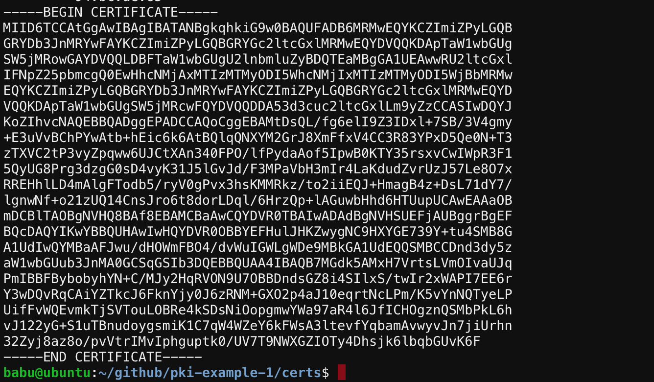 GitHub - sjsu-cmpe272/simple-pki: A simple PKI infrastructure