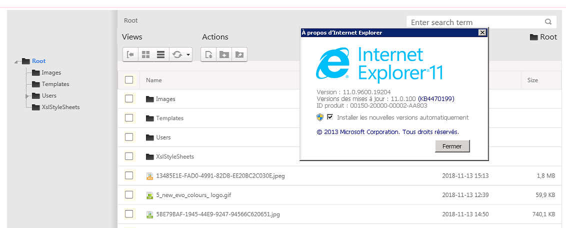 DNN Platform RC2 > Persona Bar > Manage > Site Assets > Icons not displayed on page load in IE11 ...