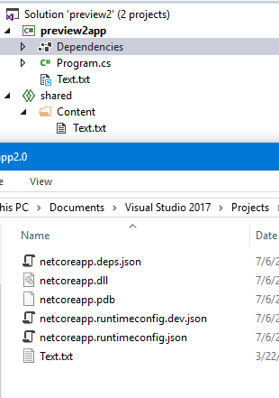 'dotnet build' ignores folder structure when copying .shproj content to output [preview2 ...