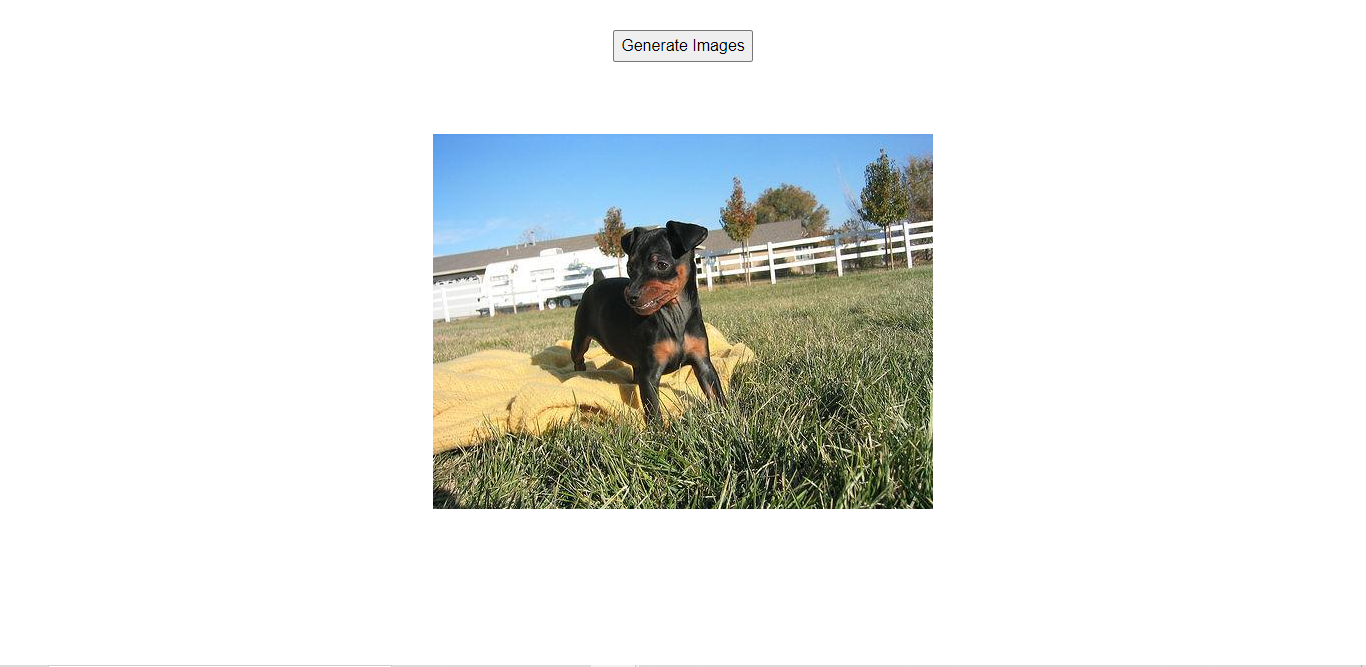 GitHub - Frontend-mini-projects/Random-Dog-Image: Random Dog Image is a ...