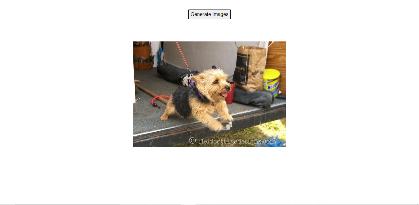GitHub - Frontend-mini-projects/Random-Dog-Image: Random Dog Image is a project in which on ...