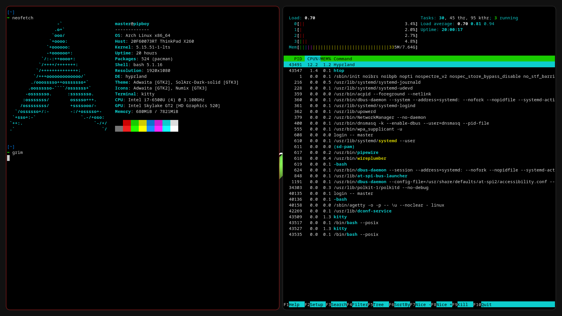 Hyprland eat CPU · Issue #303 · hyprwm/Hyprland · GitHub