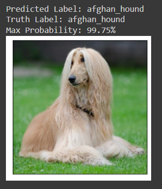 GitHub - Ashish828/Dog-Breed-Identification-using-Deep-Learning ...