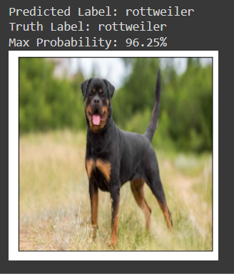 GitHub - Ashish828/Dog-Breed-Identification-using-Deep-Learning ...