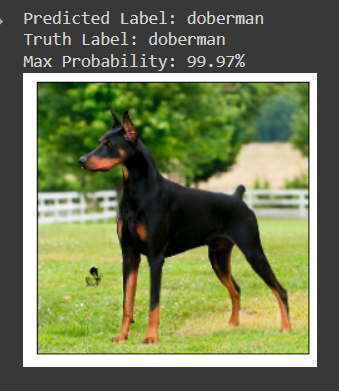 GitHub - Ashish828/Dog-Breed-Identification-using-Deep-Learning ...