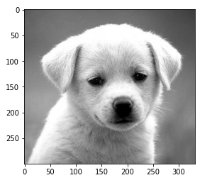 GitHub - 20180104Rana/Image_Processing_Smoothing_Sharpening: Apply ...