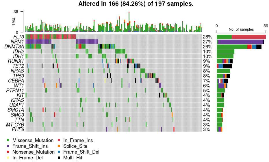 Discrepancy of mutational landscape reported initially by TCGA-LAML and ...