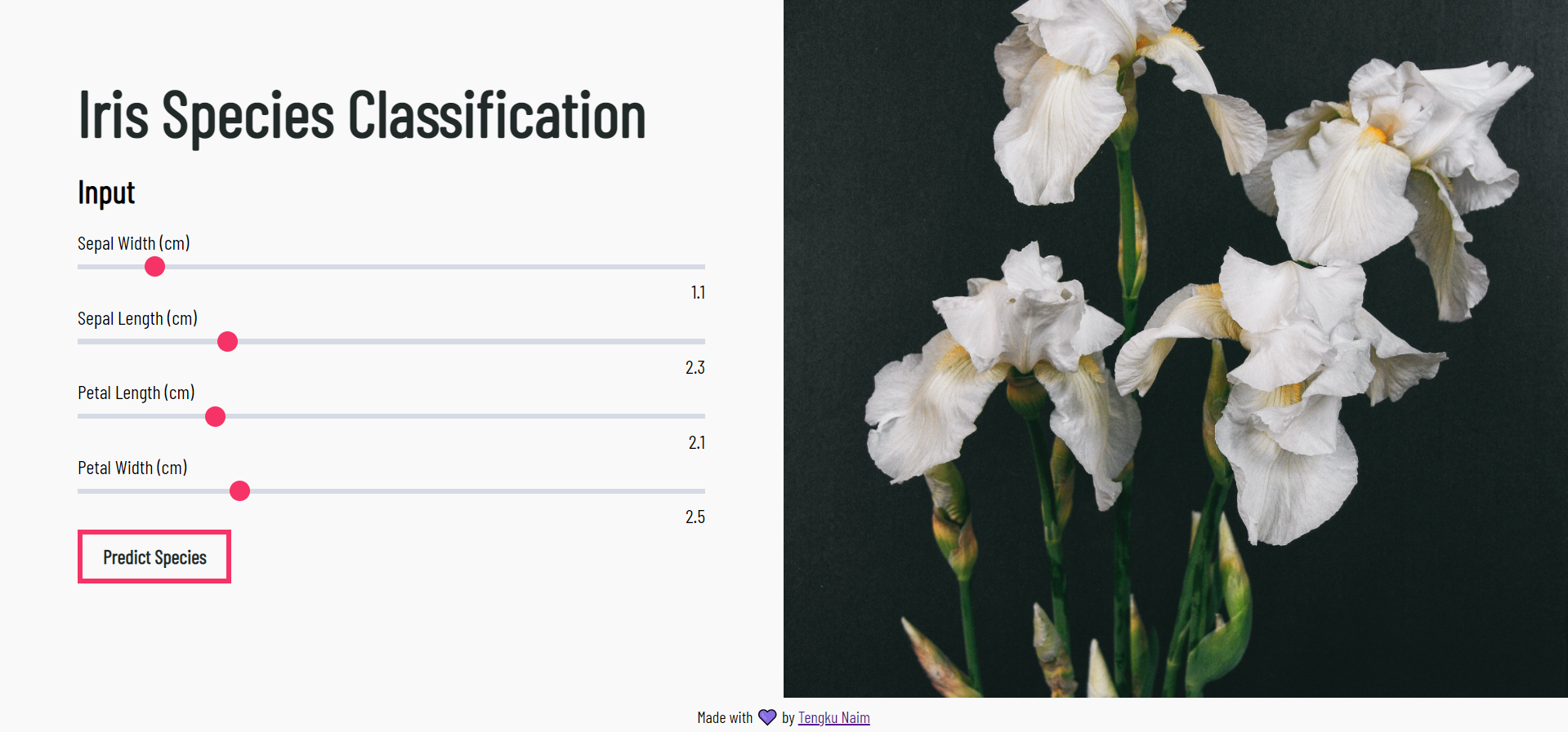 GitHub - tengznaim/iris-api: Repository for a simple web app and API surrounding a logistic ...