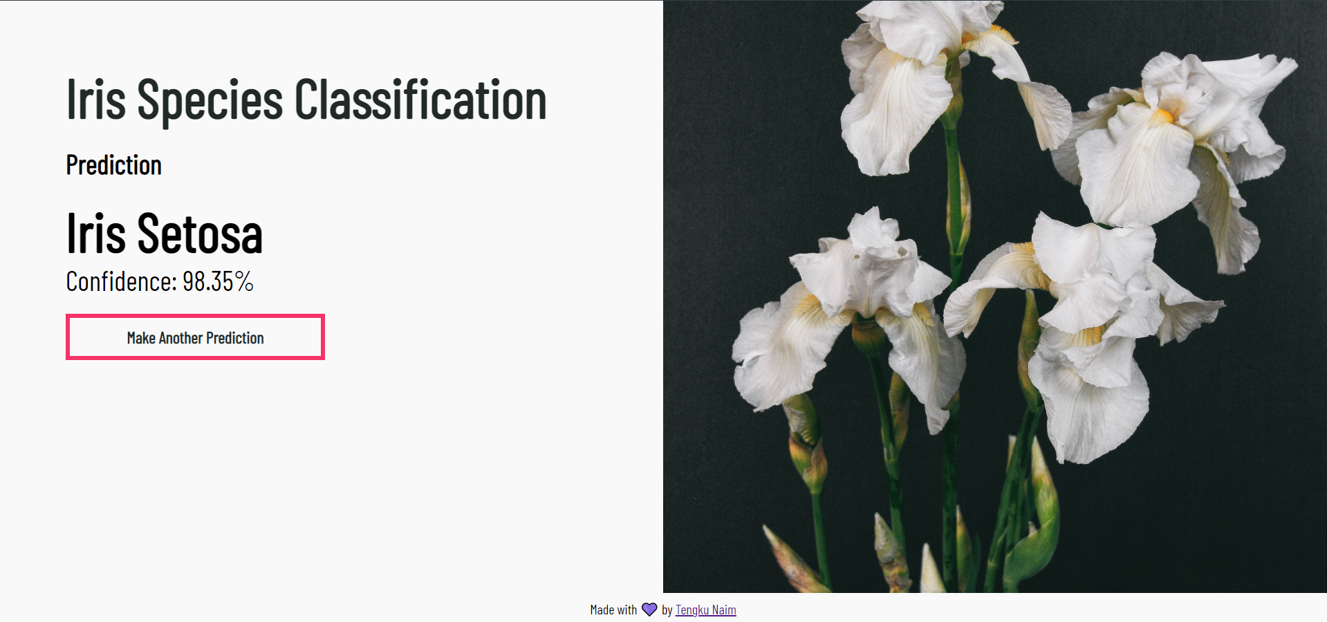 GitHub - tengznaim/iris-api: Repository for a simple web app and API surrounding a logistic ...
