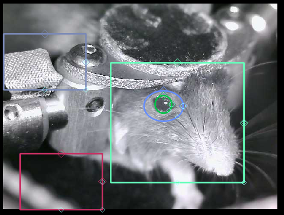 BUG: Error in reading frame? · Issue #106 · MouseLand/facemap · GitHub