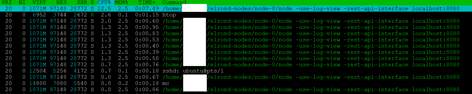 Installing Elrond node on Raspberry PI Ubuntu 18.4 · Issue #1933 · multiversx/mx-chain-go · GitHub