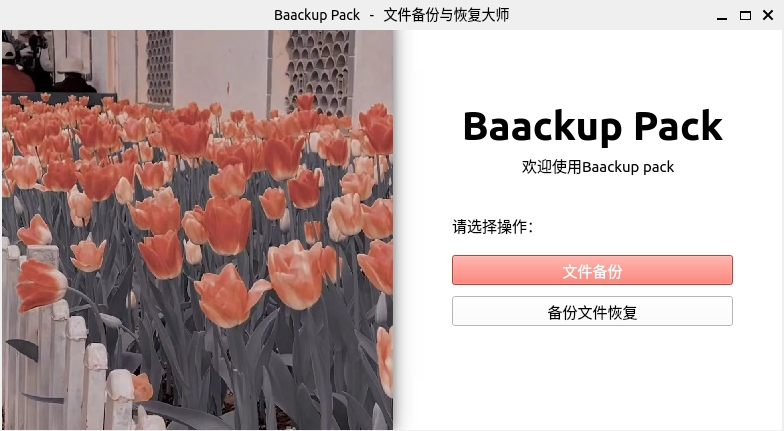 GitHub - Wmengfancy/Software-filecopy: 数据备份软件，QT