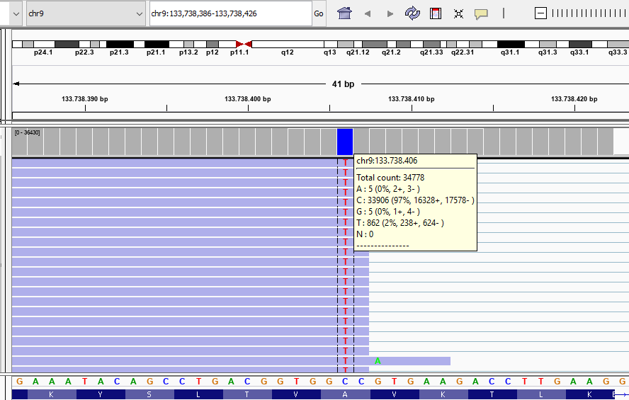 Possible Bug In Freebayes Getting Stuck While Assessing The Genotype At One Position · Issue 