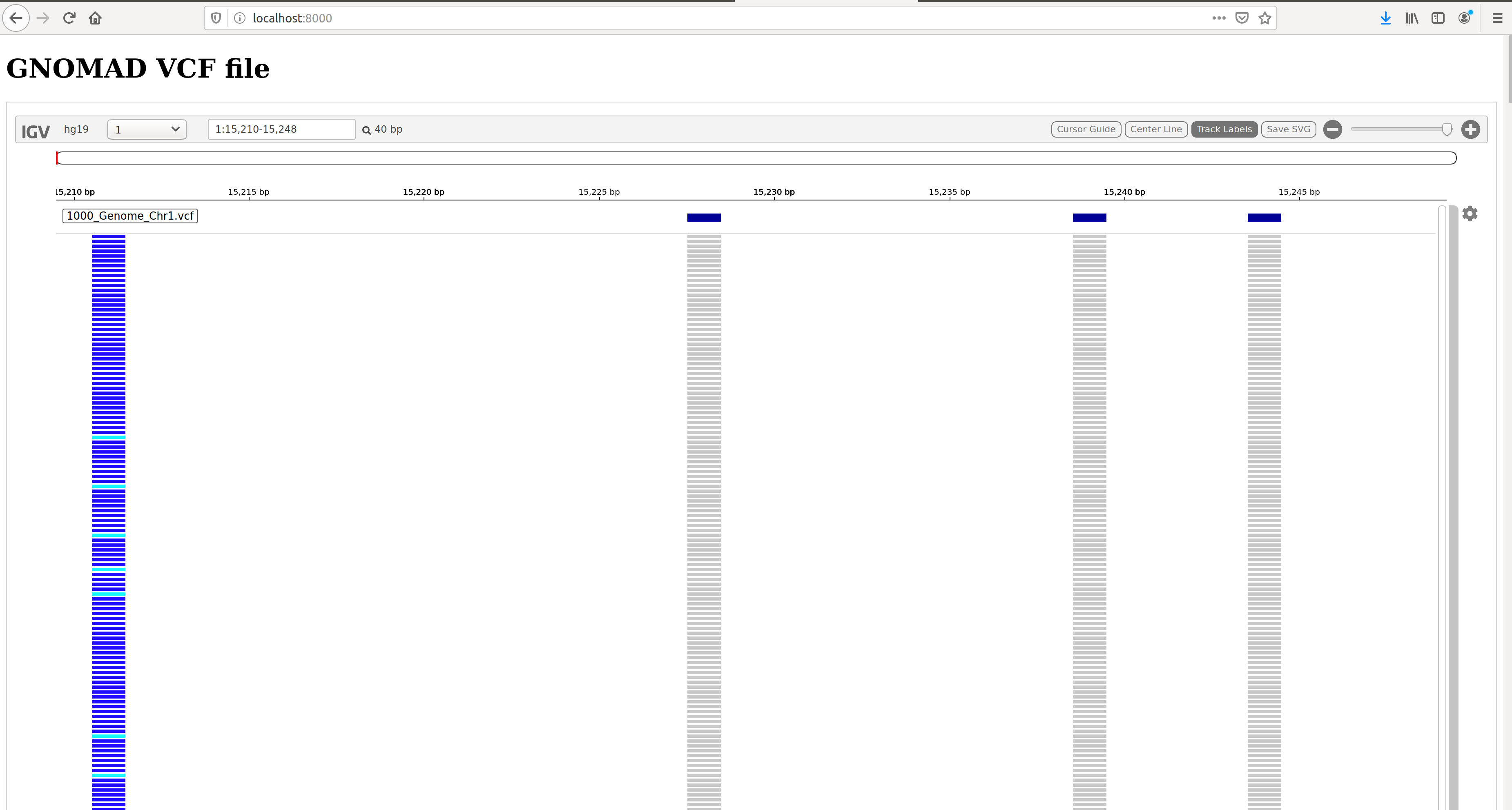 Support for sample name while visualizing multisample vcf · Issue #1092 · igvteam/igv.js · GitHub