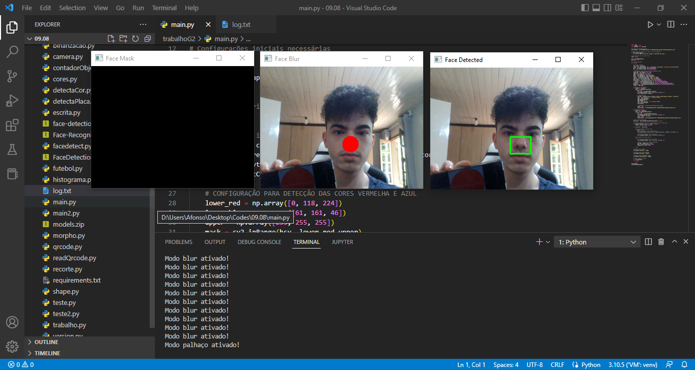 GitHub - afonsonavarini/face_blur: Aplica BLUR na face detectada para garantir privacidade.