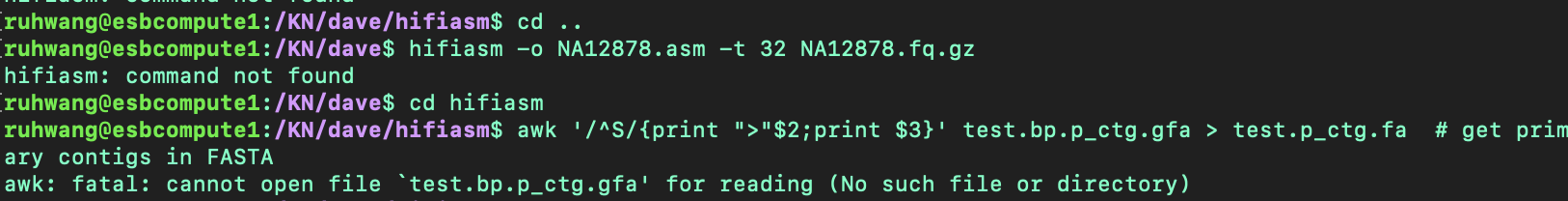 Command not found · Issue #377 · chhylp123/hifiasm · GitHub