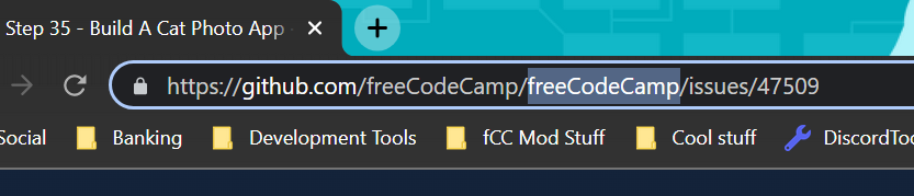 Step 35 - Build A Cat Photo App · Issue #47509 · freeCodeCamp/freeCodeCamp · GitHub