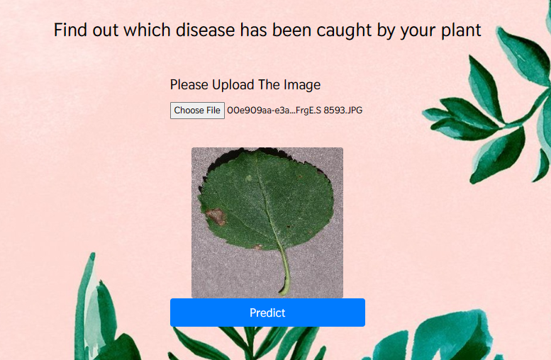 GitHub - Atulrajput1302/Farm-Mate: Detect disease of plant using image ...